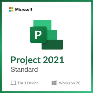 Microsoft Project Standard 2021 Digital Download Price Comparison